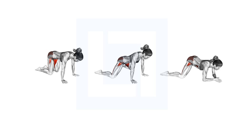 Revolved Head to Knee Pose - Guide, Benefits, and Form Revolved Head to Knee Pose - Guide, Benefits, and Form