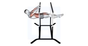 Front Lever - Guide, Benefits, and Form