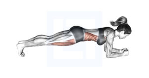 Front Plank: Foundational Core Endurance