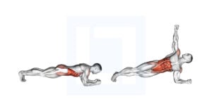 Front Plank - Guide, Benefits, and Form