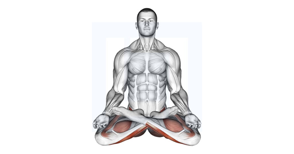 Full Lotus Yoga Pose - Guide, Benefits, and Form