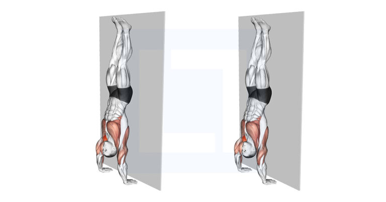 Wall Handstand Hold: Inverted Strength and Stability