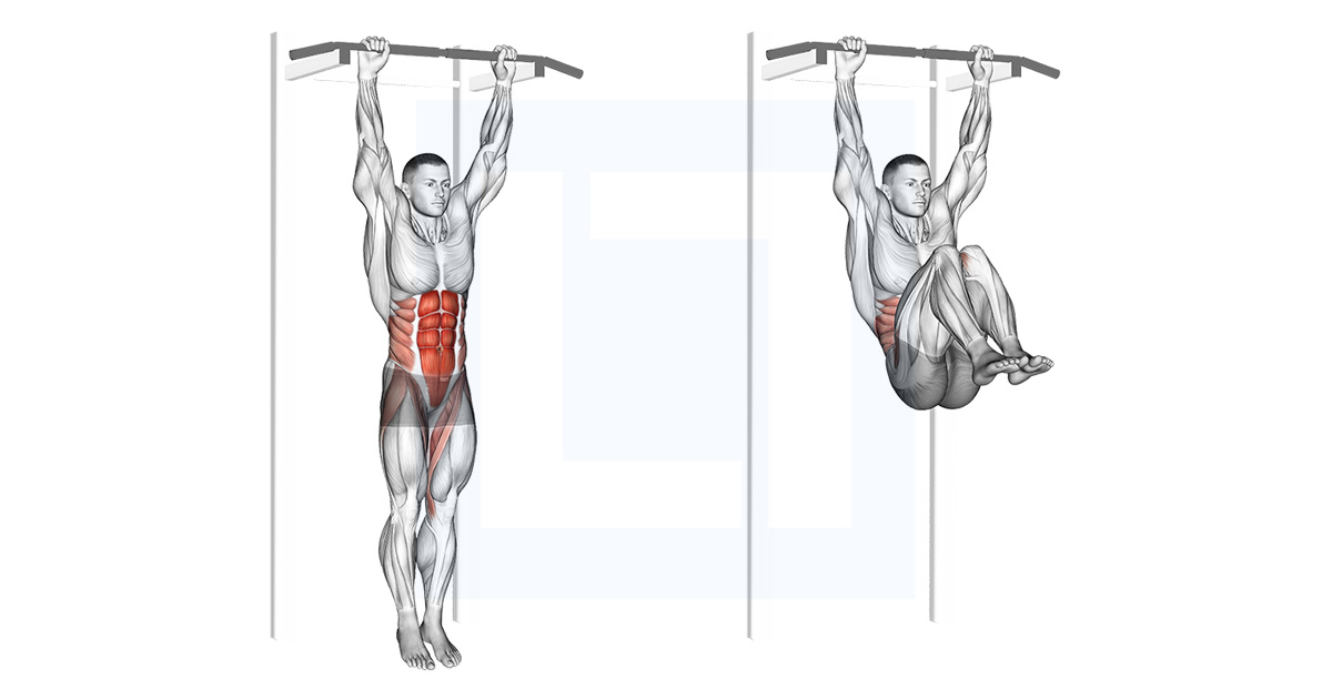 Curl up Guide Benefits And Form