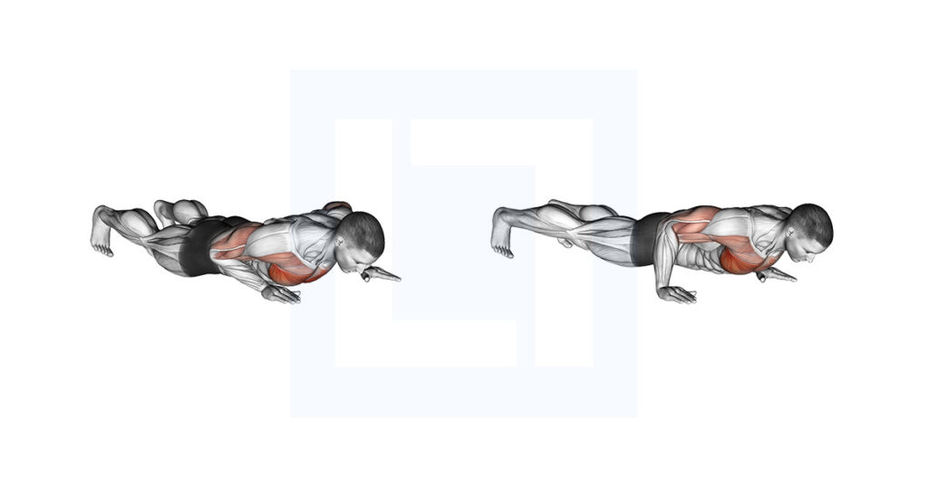 Archer Push up Guide Benefits And Form