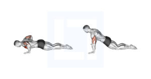 Kneeling Push-up - Guide, Benefits, and Form