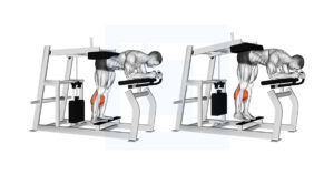 Lever Donkey Calf Raise - Guide, Benefits, and Form