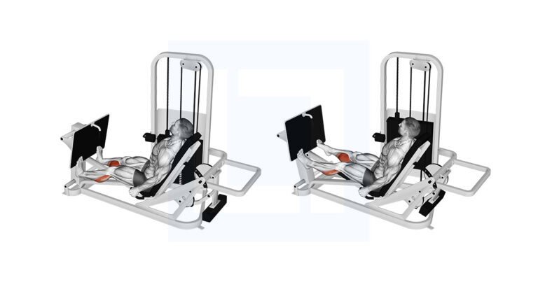 Push Press - Guide, Benefits, and Form