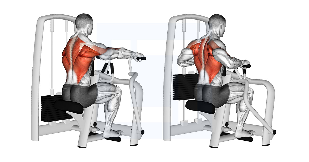 Prone Y Raise Guide Benefits And Form