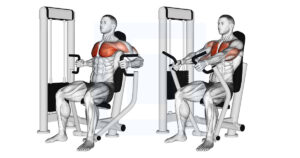 Machine Inner Chest Press - Guide, Benefits, and Form