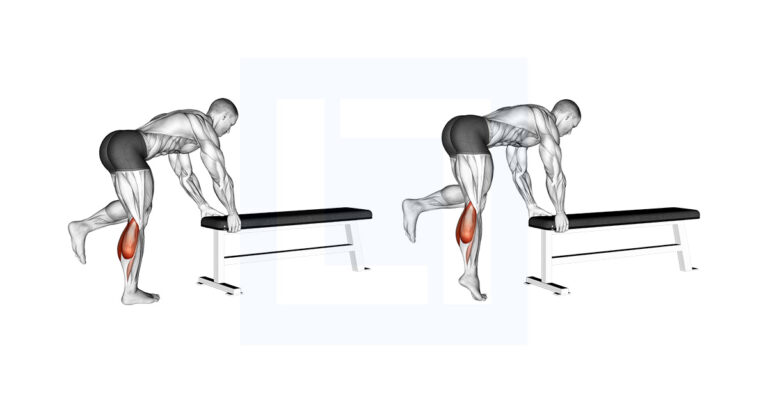 Lever Seated Calf Press - Guide, Benefits, and Form