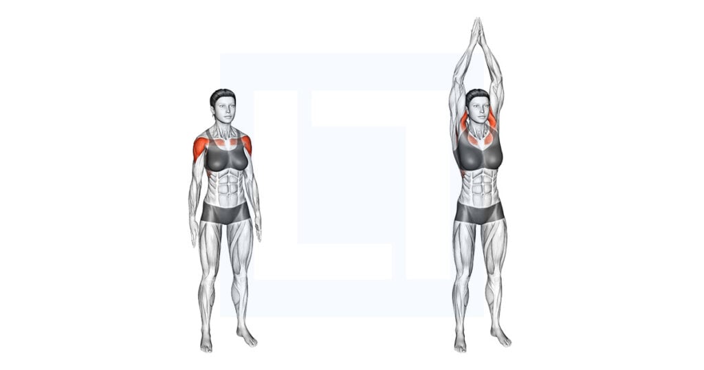 Standing Y Raise - Guide, Benefits, and Form Standing Y Raise - Guide, Benefits, and Form