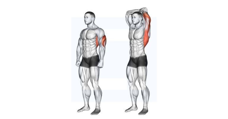 Overhead Triceps Stretch - Guide, Benefits, and Form Overhead Triceps Stretch - Guide, Benefits, and Form