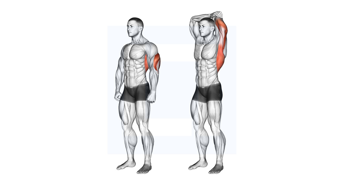 Overhead Triceps Stretch Guide Benefits And Form Overhead Triceps Stretch Guide Benefits And Form