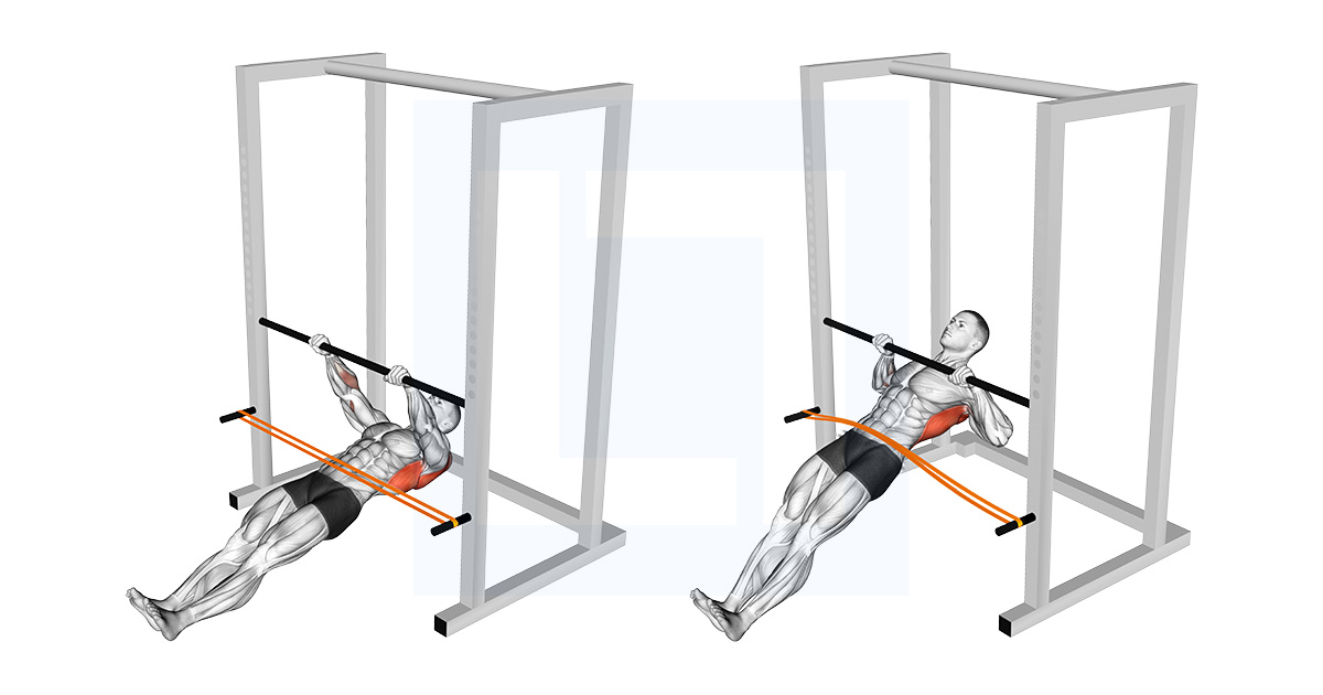 Resistance Band Bent Over Row Guide Benefits And Form Resistance Band Bent Over Row Guide Benefits And Form