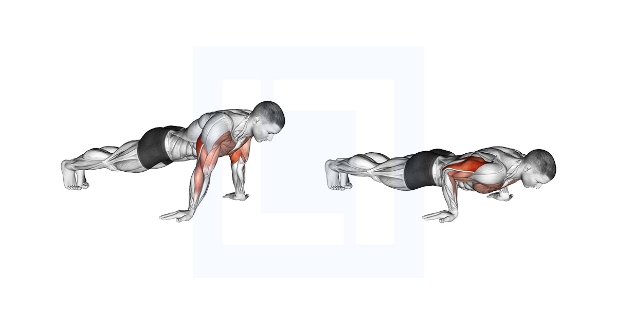 Reverse Push up Guide Benefits And Form
