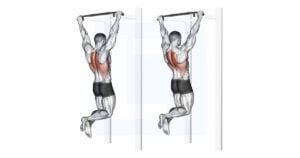 Scapular Pull-Up: Pull-Up Activation Drill