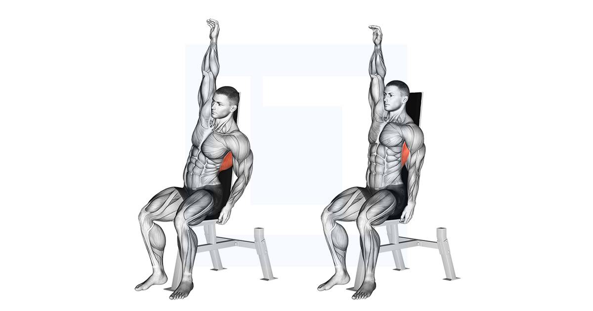 Scapula Retraction Protraction Guide Benefits And Form