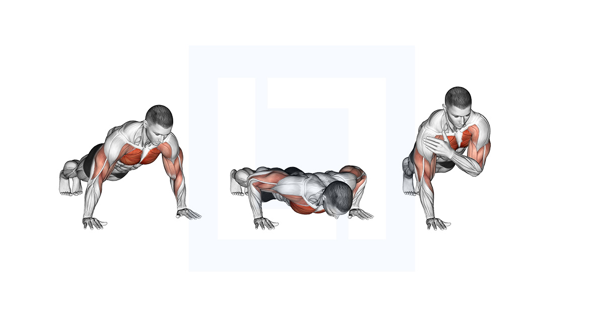 Shoulder Tap Guide Benefits And Form Shoulder Tap Guide Benefits And Form
