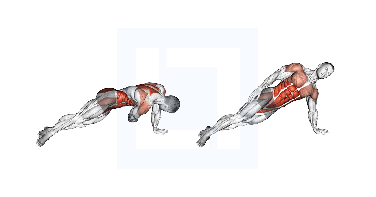 Side Kick Guide Benefits And Form Side Kick Guide Benefits And Form