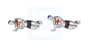 Reverse Push-up - Guide, Benefits, and Form
