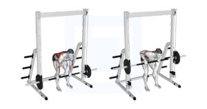 Smith Bent Over Row: Guided Back Builder