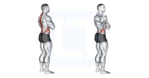 Standing Back Rotation Stretch - Guide, Benefits, and Form