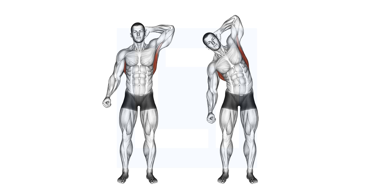 Muscle Up Guide Benefits And Form Muscle Up Guide Benefits And Form