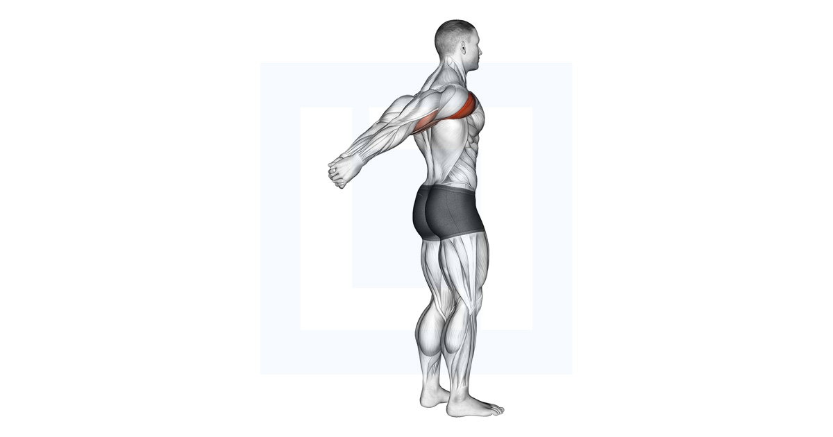 Arm Circles Guide Benefits And Form