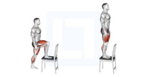 Step-Up on Chair: Chair-Height Bodyweight Step-Up