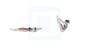 V-Up: Total Ab Strength Builder