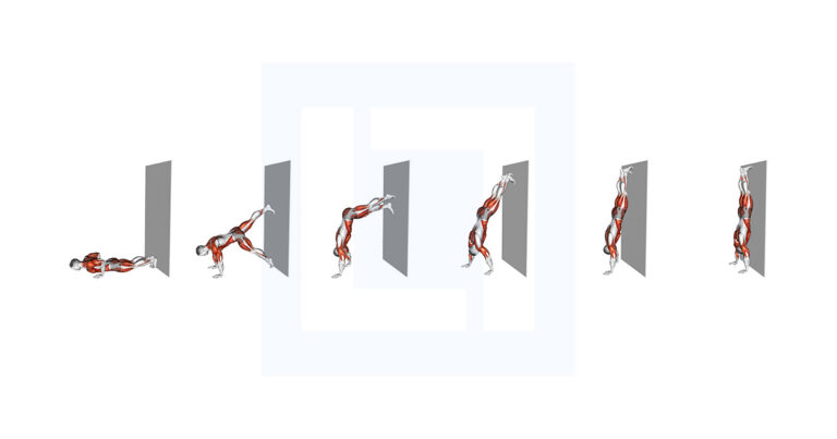 Wall Walks: Inversion Practice with Wall Support
