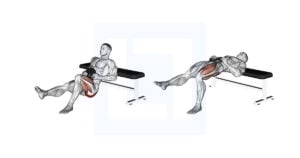 Weighted One Leg Hip Thrust - Guide, Benefits, and Form