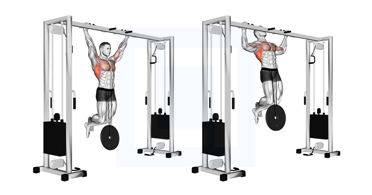 Serratus Wall Slide Guide Benefits And Form Serratus Wall Slide Guide Benefits And Form