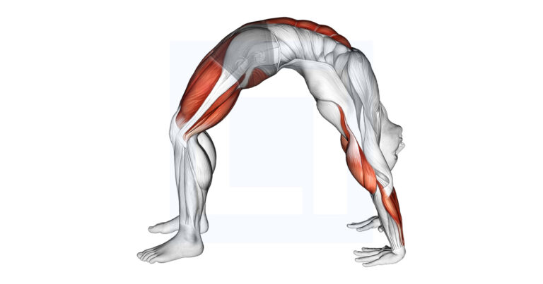 Wheel Pose Yoga Pose Guide Benefits And Form