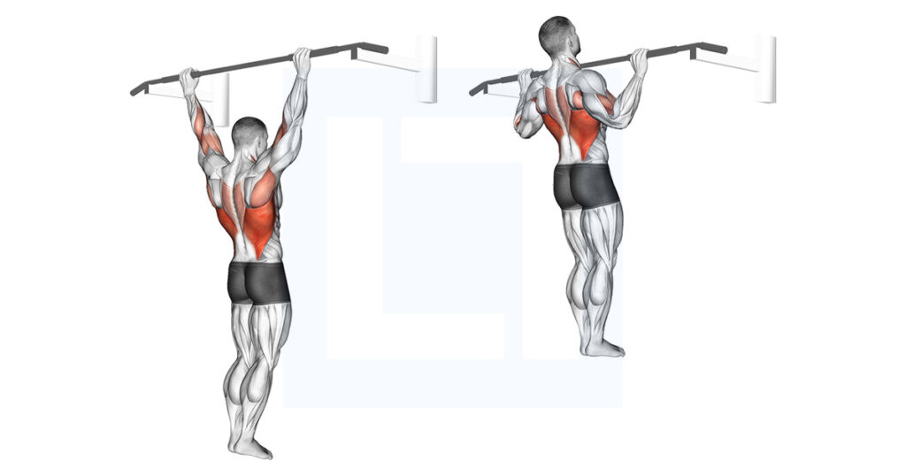 Barbell Pullover Guide Benefits And Form Barbell Pullover Guide Benefits And Form