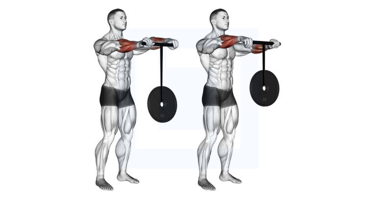 Wrist Roller: Forearm and Grip Endurance Builder