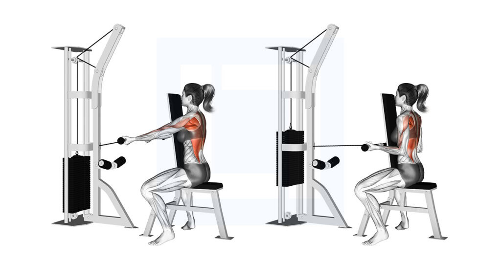 Cable One Arm Pulldown: Unilateral Lat Pulldown