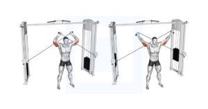 Cable High Triceps Extension: Overhead Cable Tricep