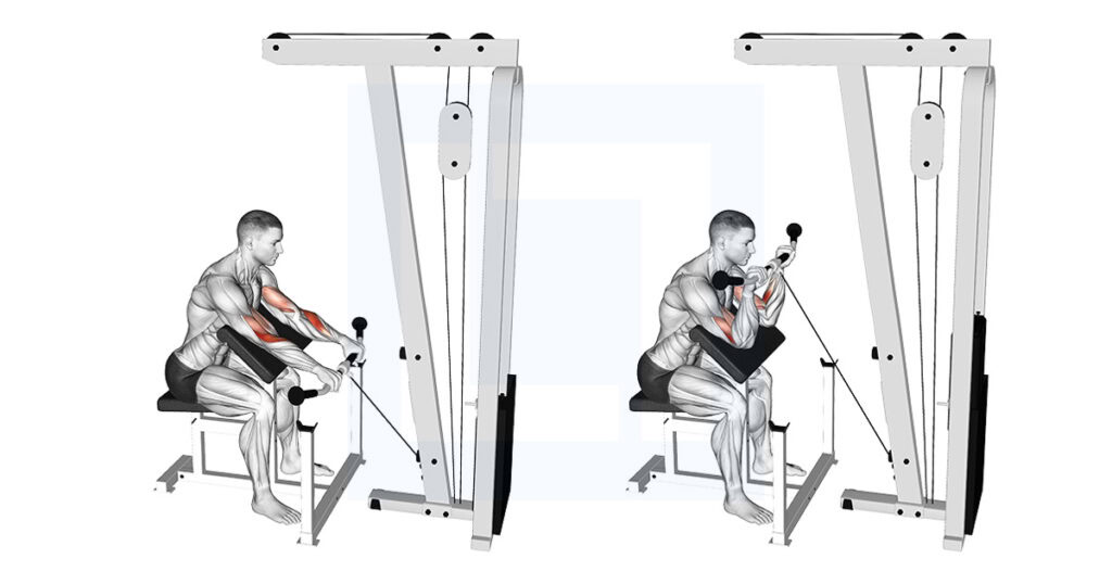 Cable One Arm Tricep Pushdown: Single-Arm Lateral Head