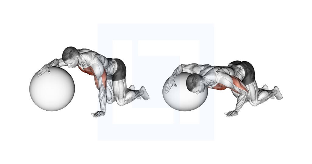 Shoulder Tap: Plank Shoulder Touch Core Drill