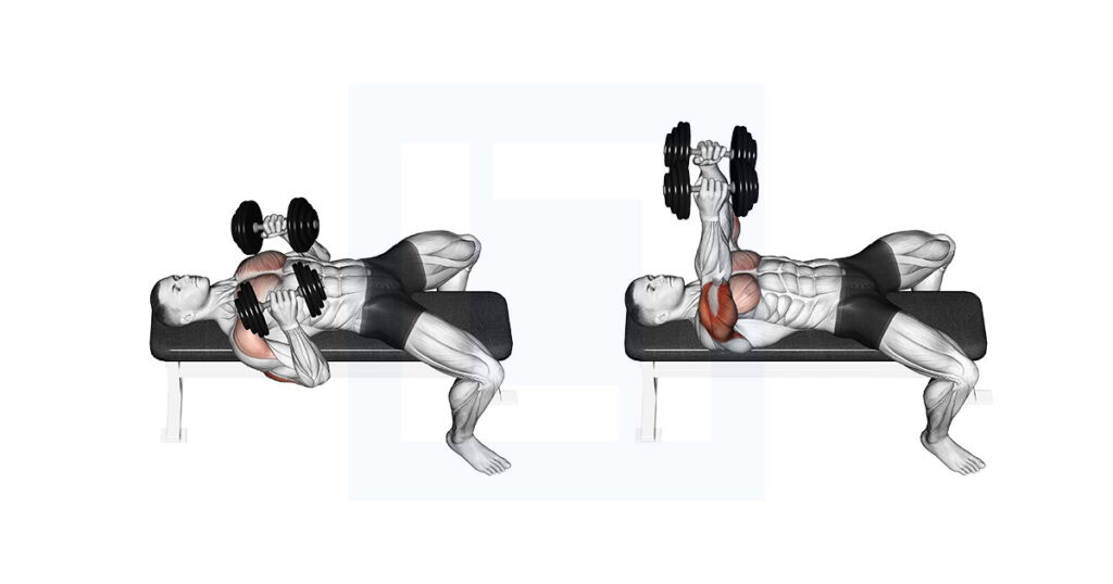 Dumbbell Lying Elbow Press: Tate Press