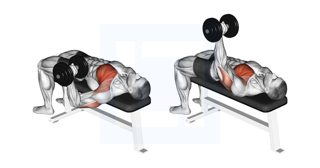 Dumbbell Raises: Front, Lateral, and Rear Delt Variations