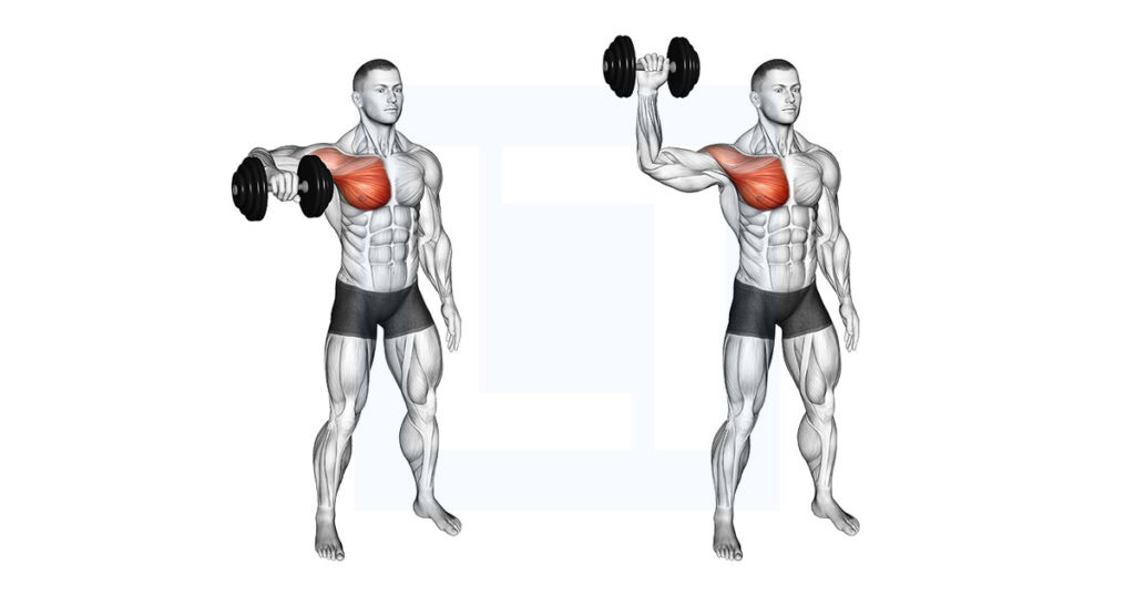 Dumbbell Reverse Fly: Standing Rear Delt Isolation