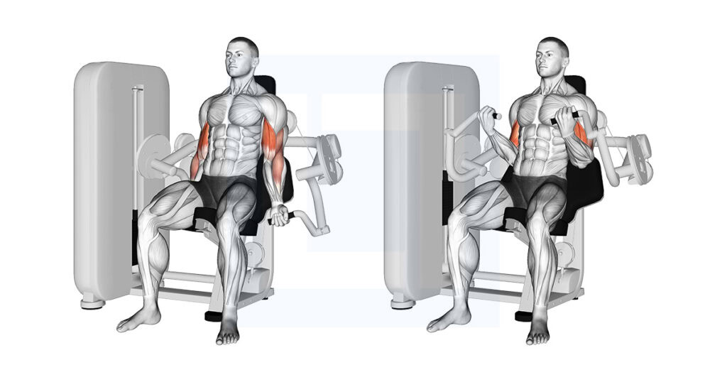 DB Seated Hammer Curl: Seated Neutral-Grip Curl