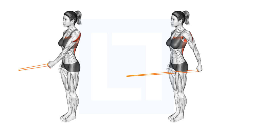 Dumbbell Rear Delt Fly: Standing Rear Delt Builder