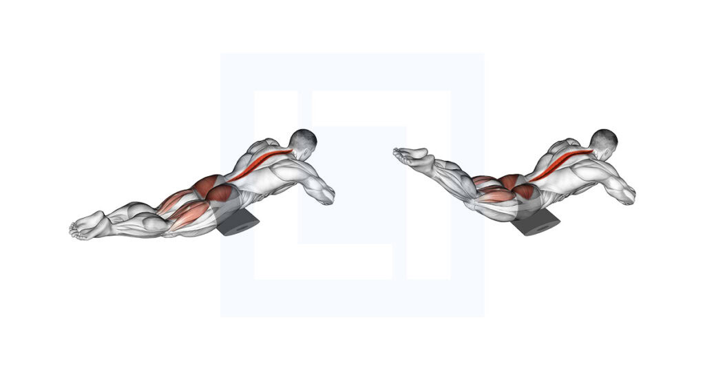 Reverse Back Extension on Floor Exercise Guide