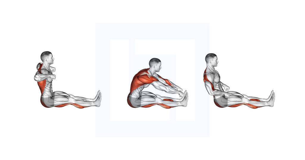 Shoulder Tap: Plank Shoulder Touch Core Drill