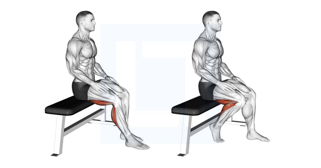 Seated Foot Slide: Ankle Mobility