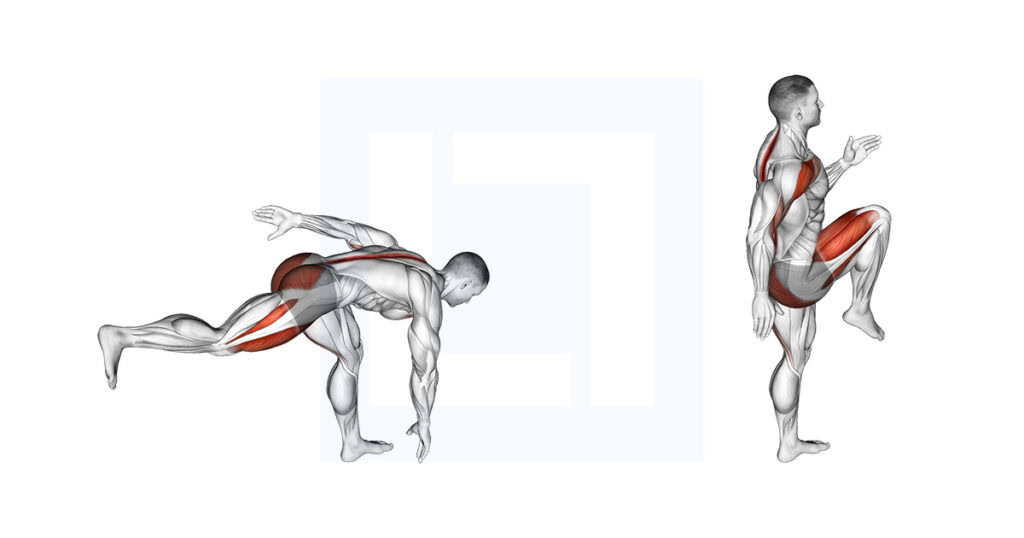 Duck Walk: Deep Squat Walking Drill