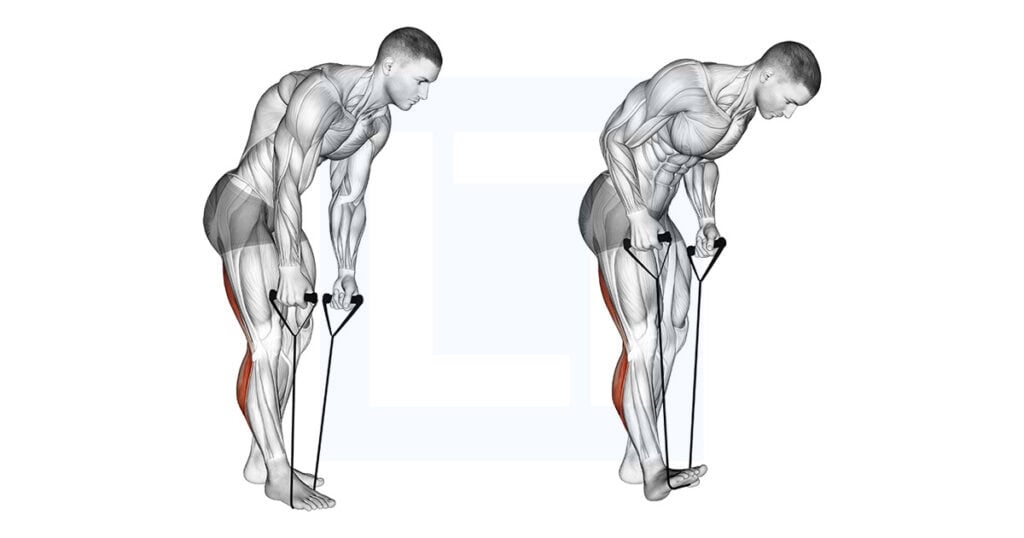 Standing Single Leg Curl: Unilateral Hamstring Machine